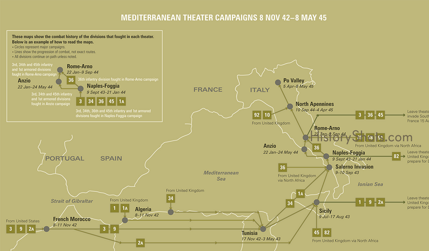 U.S. Army Divisions in World War II – HistoryShots InfoArt